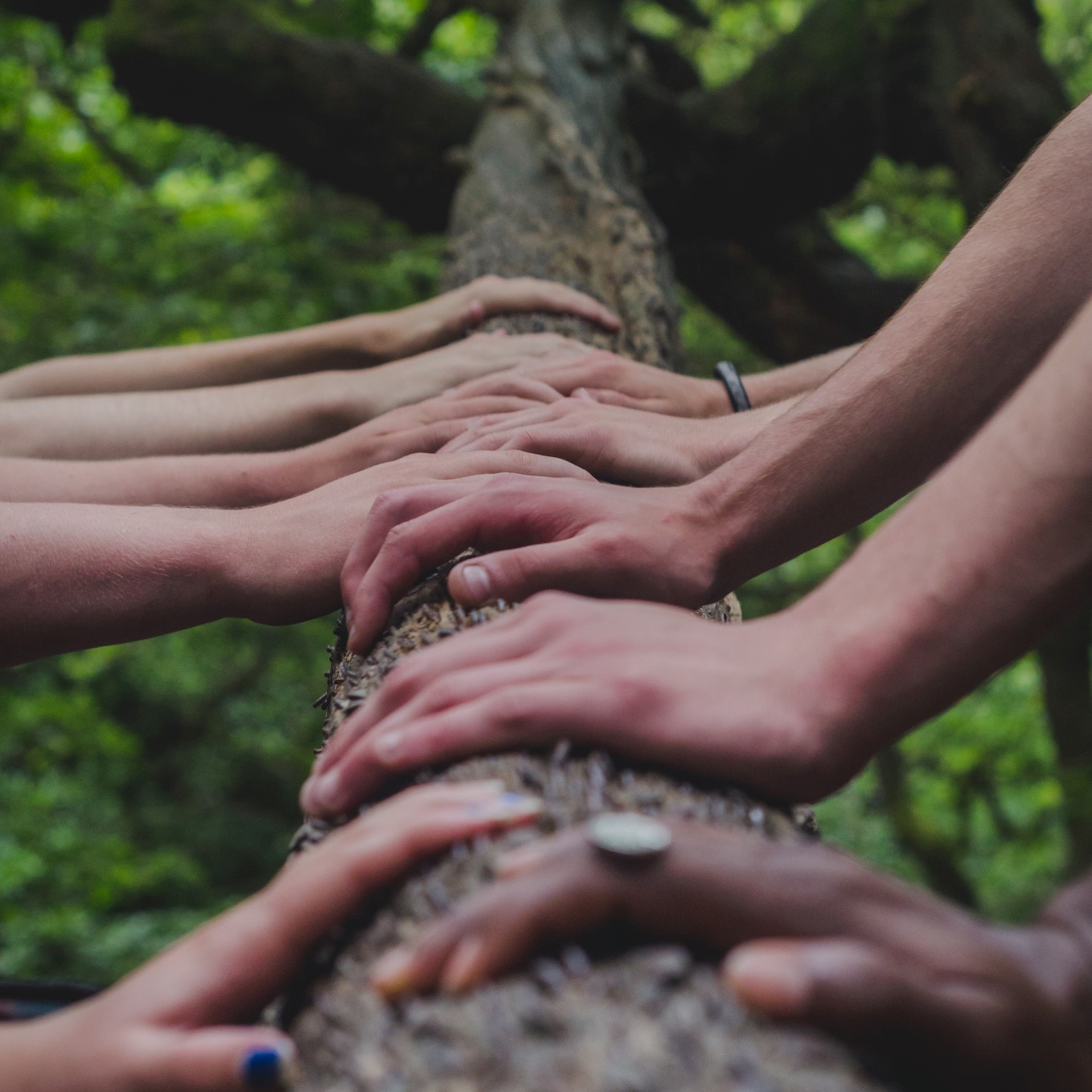 Together Again - Central Presbyterian Church Denver